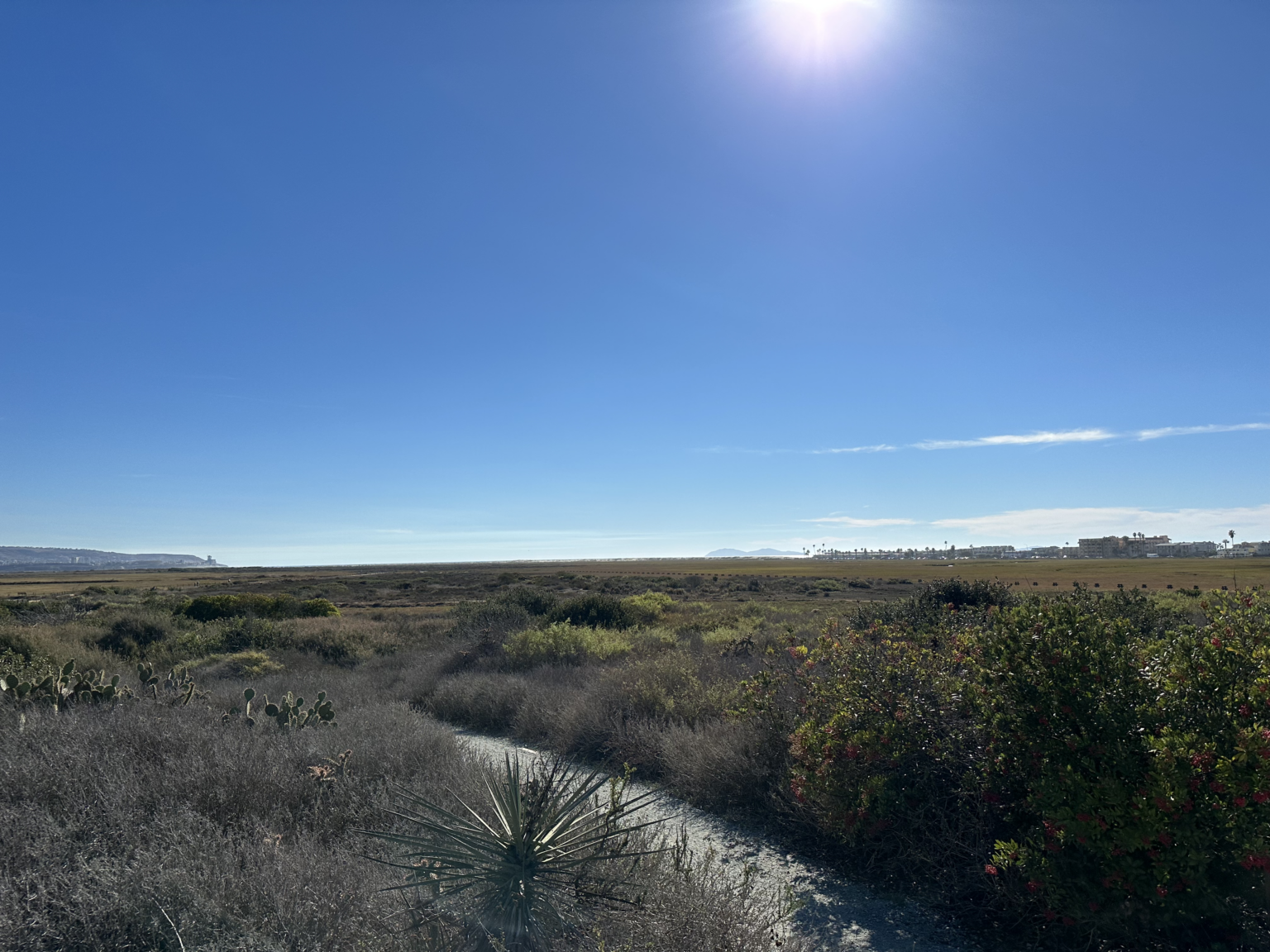 Tijuana River Estuary | Resilient Wetlands